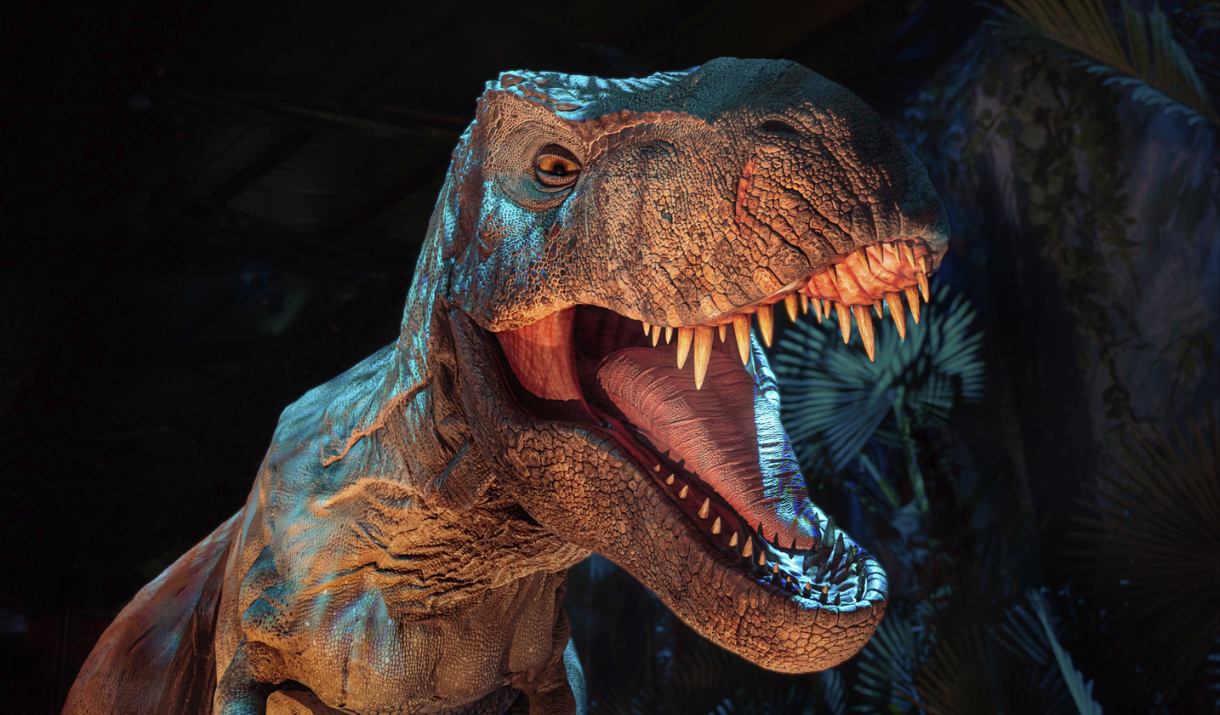 January is your last chance to visit Jurassic World! - Visit Greenwich