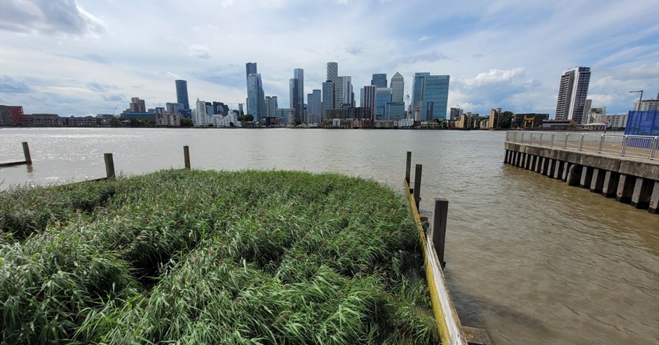 A Short Intro to the Thames Estuary - Guided Walk - Walking Event in ...