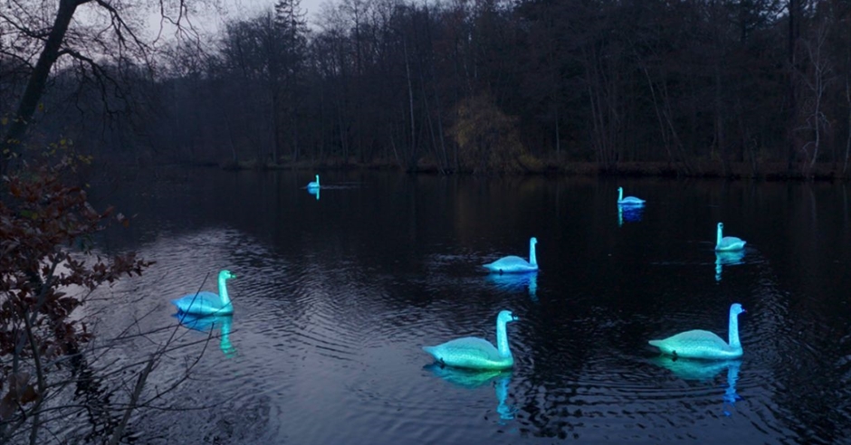 CYGNUS - Live entertainment in Royal Victoria Dock, Tower Hamlets ...