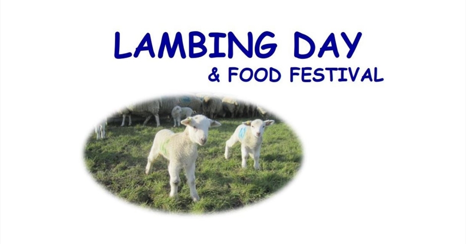 Lambing Day 2023 - Animal Event in Welling, Greenwich - Visit Greenwich