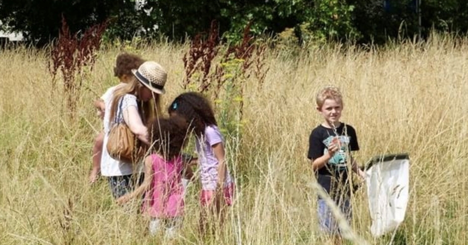 Invertebrate Day! Bug Hunting & Crafts - Outdoor Event in Deptford ...